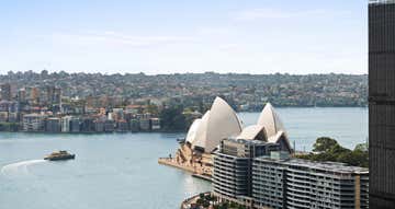 175 Pitt Street, Sydney, NSW 2000 - Office For Lease - realcommercial