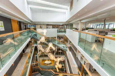 1231 Sandgate Road, Nundah, QLD 4012 - Office For Lease - realcommercial