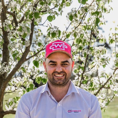 Matthew Velcich - Country Wide Property - Glen Innes - realcommercial ...
