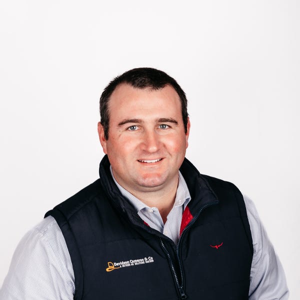 Stephen Johnston - Davidson Cameron & Co. - North East NSW - realestate ...