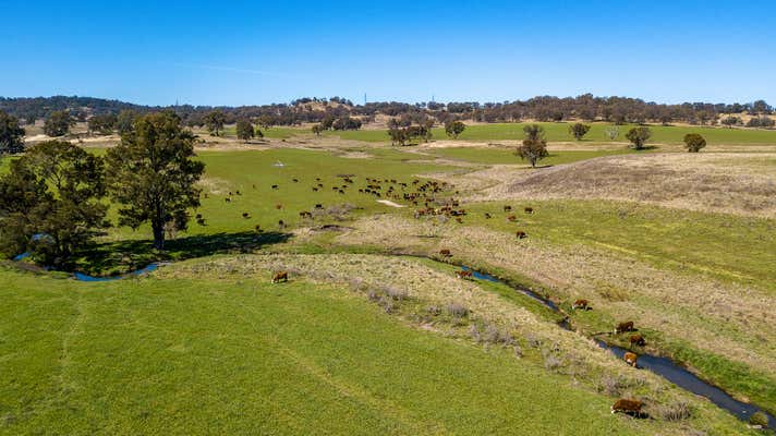 Sold Commercial Farming & Rural Property at Paradise Creek Elsmore Road ...
