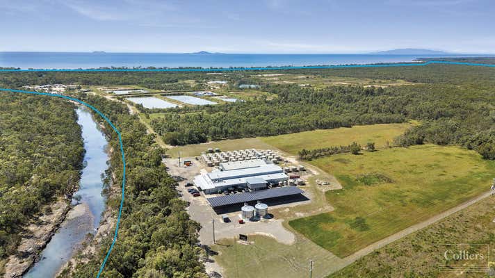 43052 Bruce Highway, Clemant, QLD 4816 - Commercial Farming & Rural ...