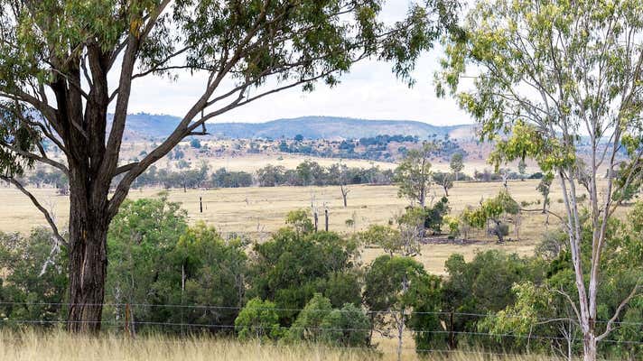 Sold Commercial Farming & Rural Property at Bronte, 232 Pile Gully Road ...