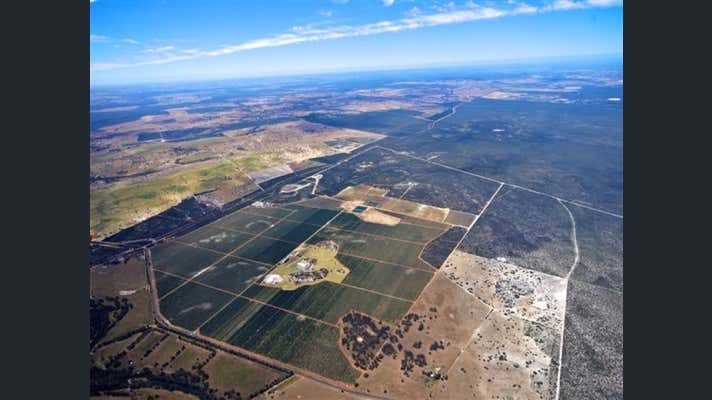 Sold Development Site & Land at Fini Olives, 237 Orange Spring Road ...