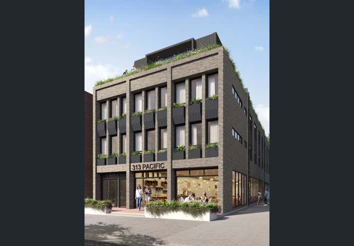 313 Pacific Hwy, North Sydney, NSW 2060 - Medical & Consulting Property ...