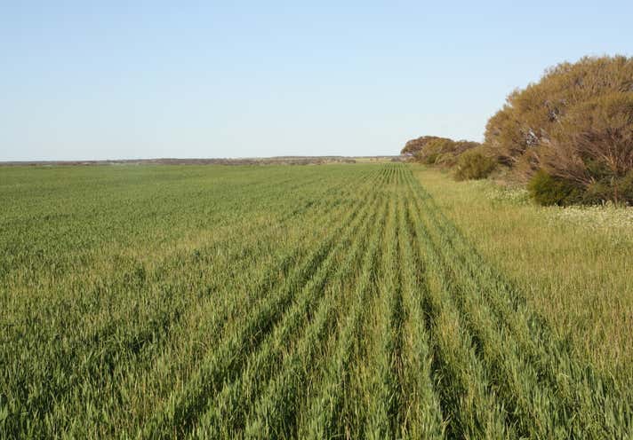 Leased Commercial Farming & Rural Property at Speyside Estate, 263 ...
