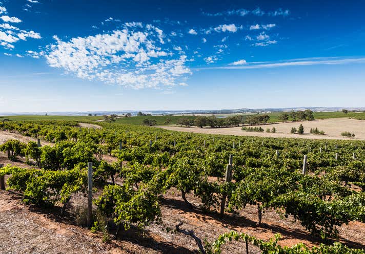 Sold Commercial Farming & Rural Property at Schobers Vineyard Tank and ...