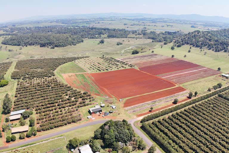 767 Peeramon Road, Peeramon, QLD 4885 - Commercial Farming & Rural ...