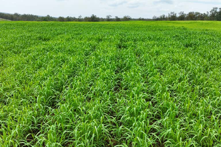 Covendale, 487 Schmidhausers Road, Windera, QLD 4605 - Commercial ...