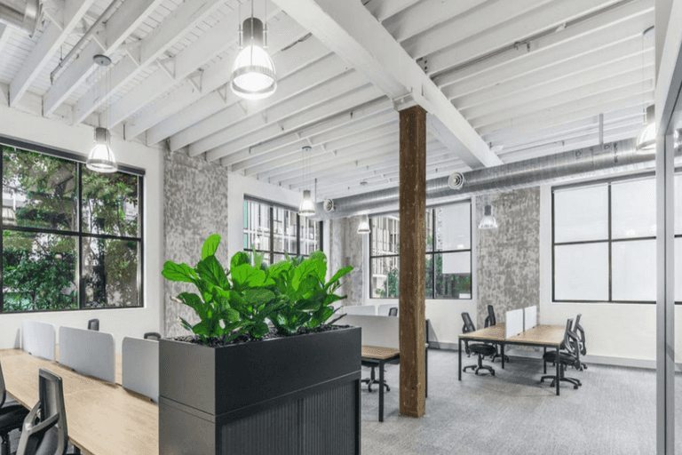 33 Longland Street, Newstead, QLD 4006 - Office For Lease - realcommercial