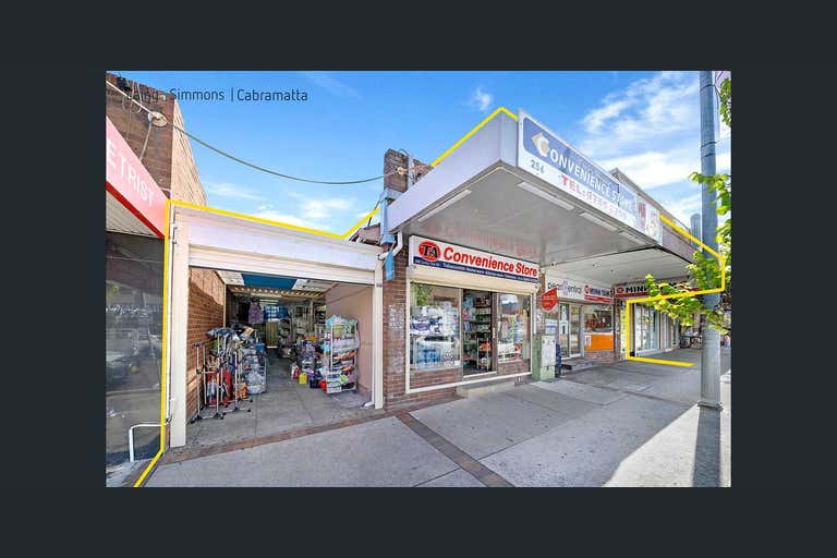 256 Canley Vale Road, Canley Heights, NSW 2166 - Shop & Retail Property ...