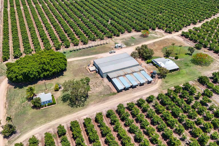 65895 Burke Developmental Road, Dimbulah, QLD 4872 - Commercial Farming ...
