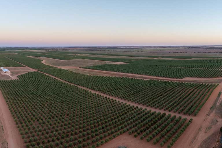 971 Wilga Road, 971 Wilga Road, Red Cliffs, VIC 3496 - Commercial ...