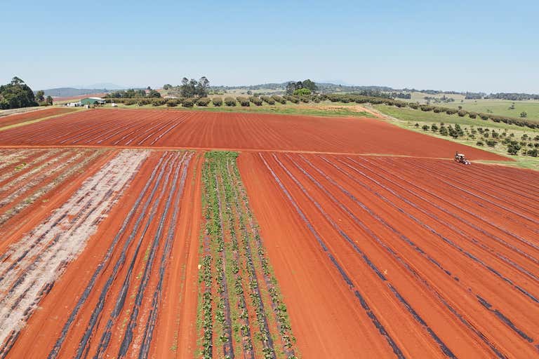 767 Peeramon Road, Peeramon, QLD 4885 - Commercial Farming & Rural ...