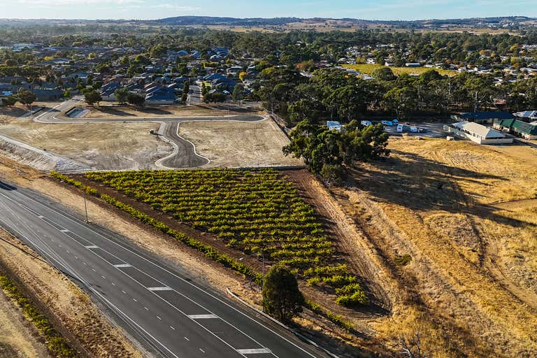 Lot 111 Sturt Highway, Nuriootpa, SA 5355 - Development Site & Land For ...