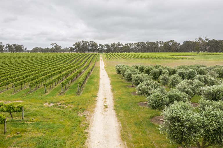 89 Nolans Road, Hynam, SA 5262 - Commercial Farming & Rural Property ...