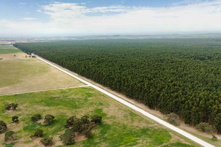 Wattle Range, SA 5280 - Commercial Farming & Rural Property For Sale ...