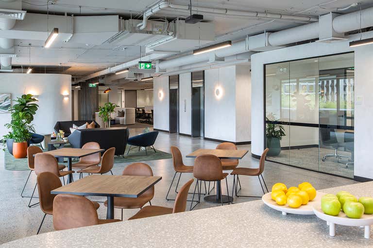 51 Berry Street, North Sydney, NSW 2060 - Office For Lease - realcommercial