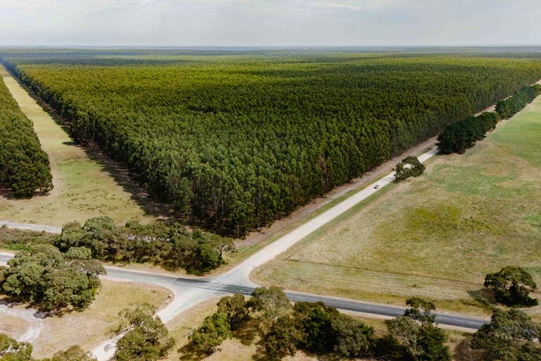 Wattle Range, SA 5280 - Commercial Farming & Rural Property For Sale ...