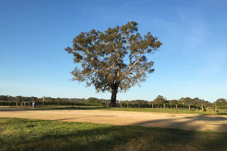 89 Nolans Road, Hynam, SA 5262 - Commercial Farming & Rural Property ...